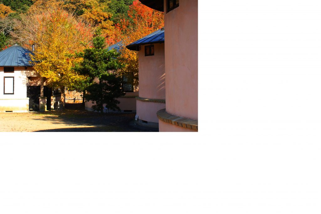 %e3%82%bf%e3%83%84%e3%82%bf80%ef%bc%85 | あやがわ日和～さぬきうどん発祥の地～